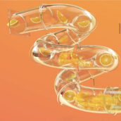 Home page - NCA Rouiba